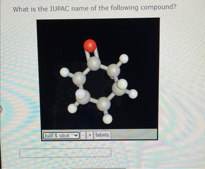 Solved What is the IUPAC name of the following | Chegg.com