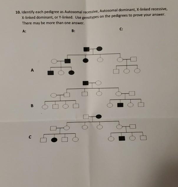 Solved 10. Identify each pedigree as Autosomal recessive, | Chegg.com
