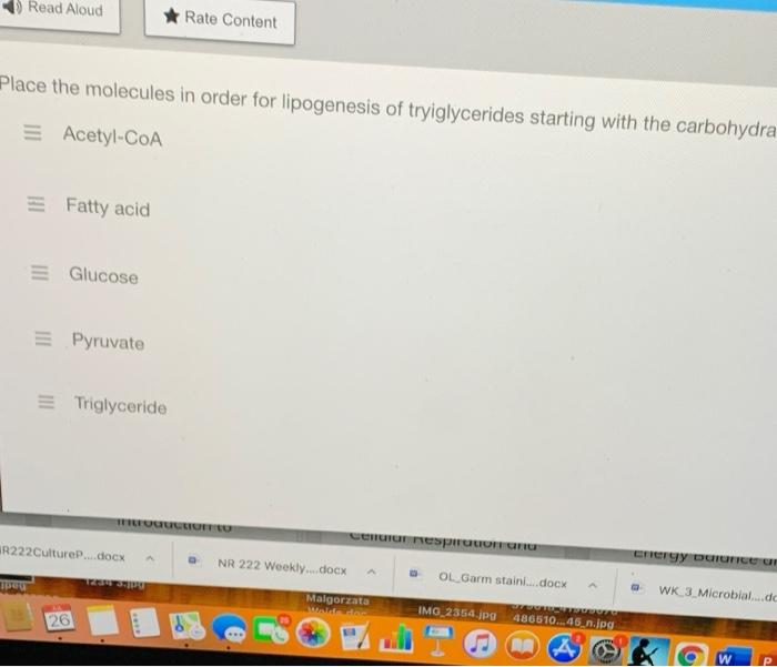 Solved Read Aloud * Rate Content Place the molecules in | Chegg.com