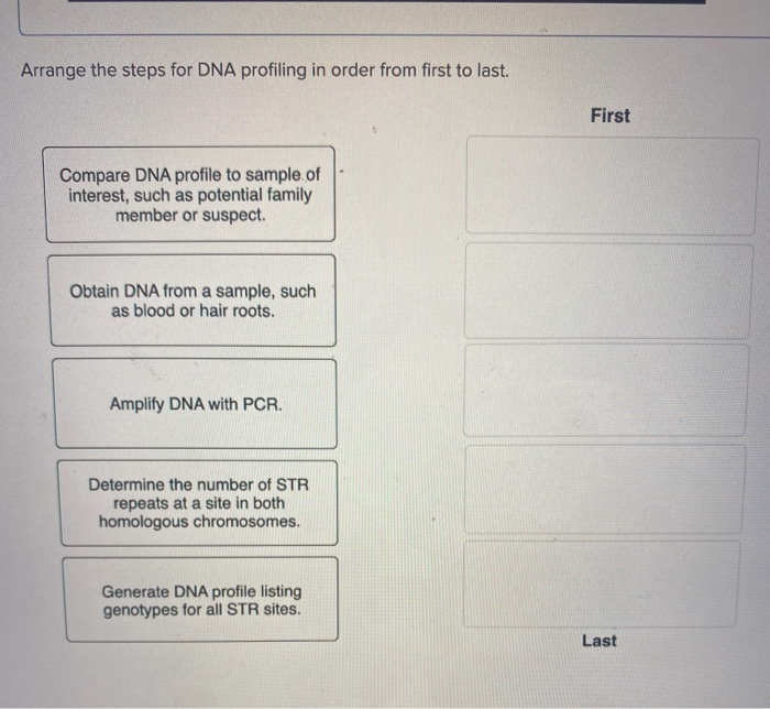 Solved Arrange the steps for DNA profiling in order from | Chegg.com