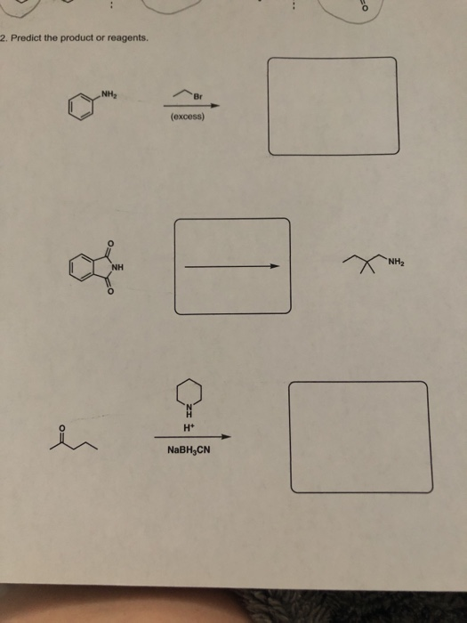 Solved 2. Predict the product or reagents. NH2 Br (excess) | Chegg.com