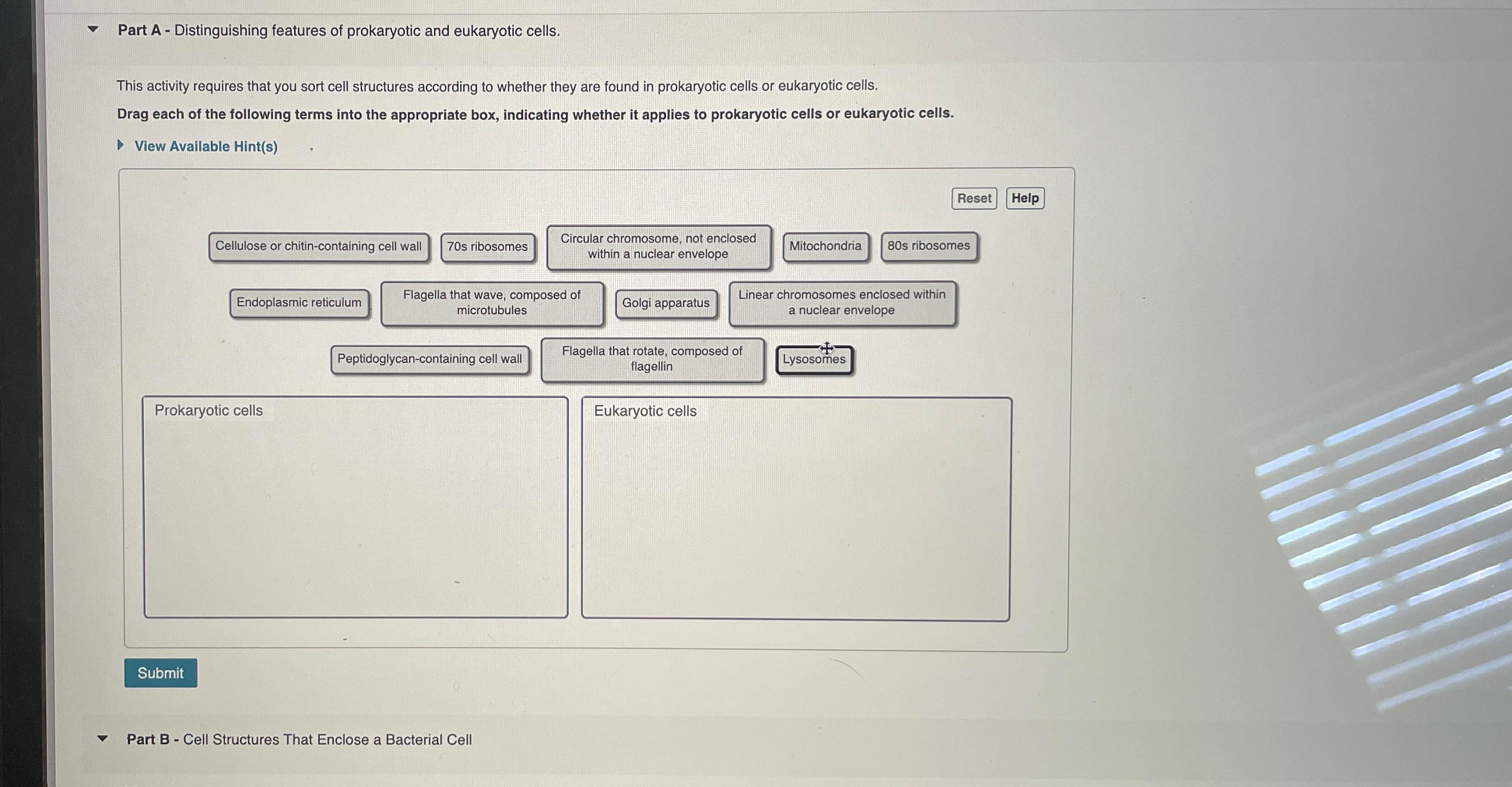 Solved Part A - ﻿Distinguishing features of prokaryotic and | Chegg.com