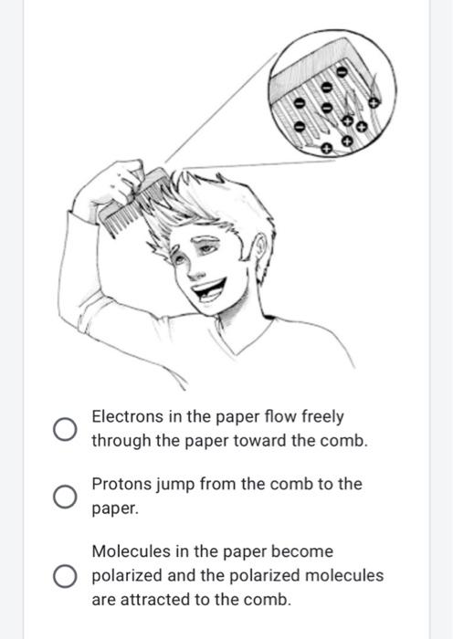 Solved A comb becomes negatively charged after you comb your | Chegg.com