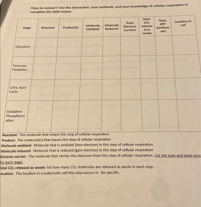 Solved Time to review!!! Use the interactive, your textbook, | Chegg.com