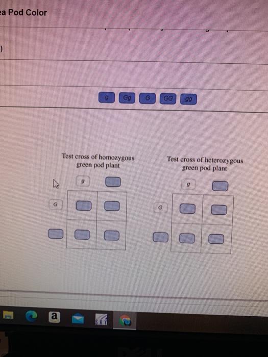 Solved a Pod Color ) GO GO gg Test cross of homozygous green | Chegg.com