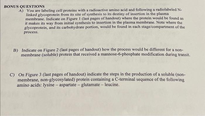 Solved A) You are labeling cell proteins with a radioactive | Chegg.com