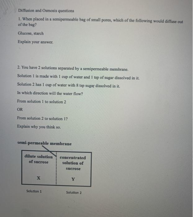 Solved Diffusion and Osmosis questions 1. When placed in a | Chegg.com