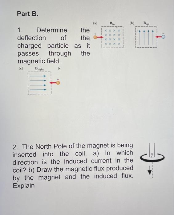 Solved 1. A variable magnetic field produces: to. an | Chegg.com
