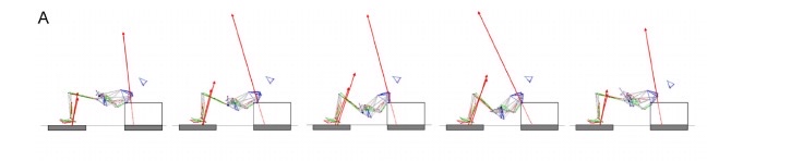 Solved The image below shows the ground reaction forces on | Chegg.com
