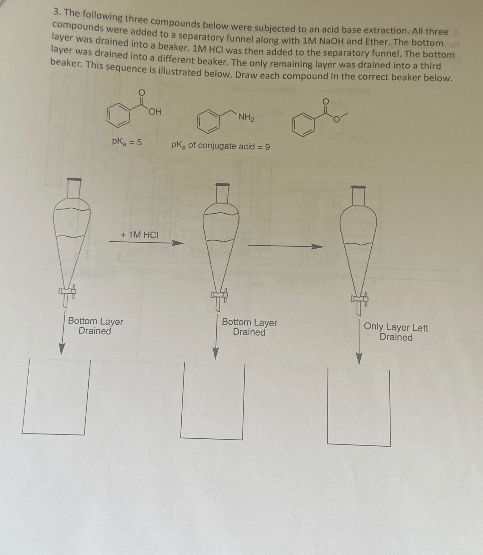 Solved The following three compounds below were subjected to | Chegg.com