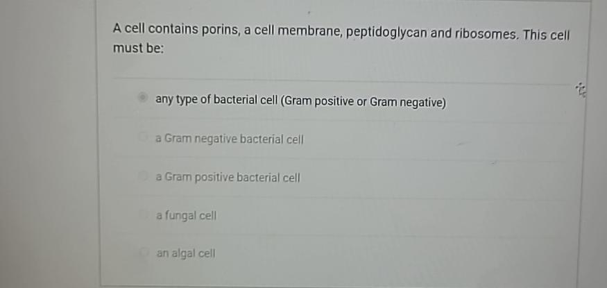 Solved A cell contains porins, a cell membrane, | Chegg.com