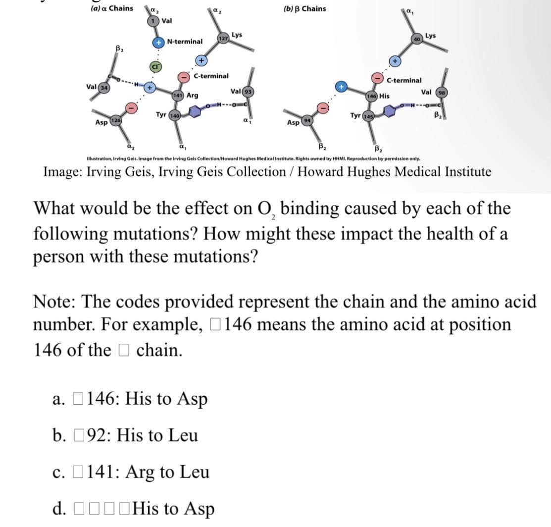 Solved Image: Irving Geis, Irving Geis Collection / ﻿Howard | Chegg.com