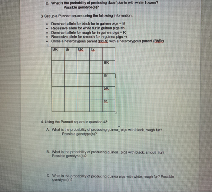 Solved 1. Set up a Punnett square using the following | Chegg.com