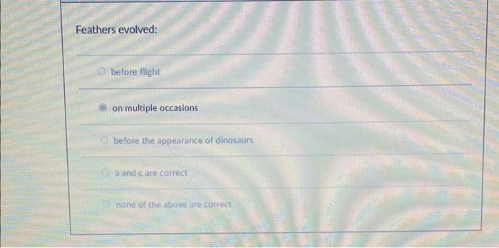 Solved Feathers evolved: before flight on multiple occasions | Chegg.com
