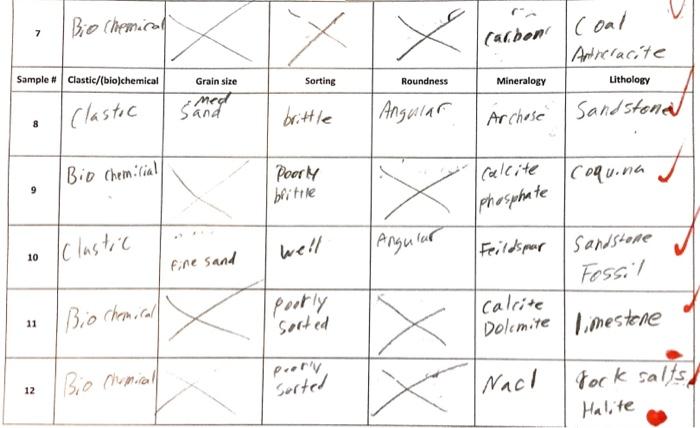 Solved Section 3: Using the concepts of depositional | Chegg.com