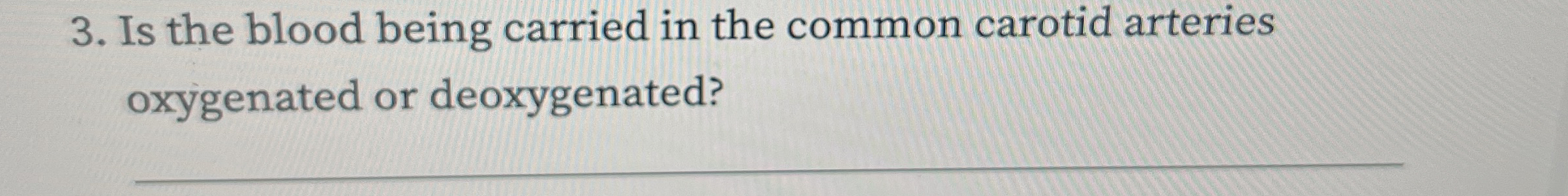 Solved Is the blood being carried in the common carotid | Chegg.com