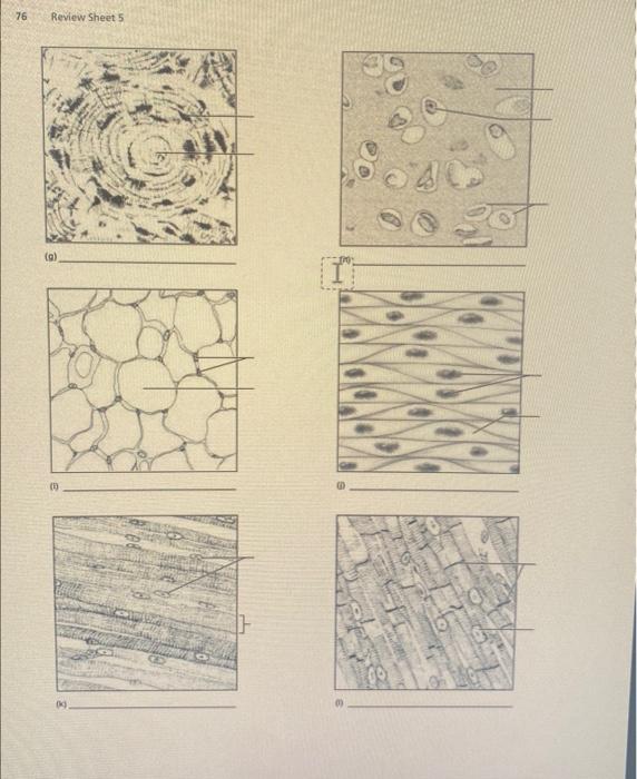 Solved all parta must be labeled. thank you | Chegg.com