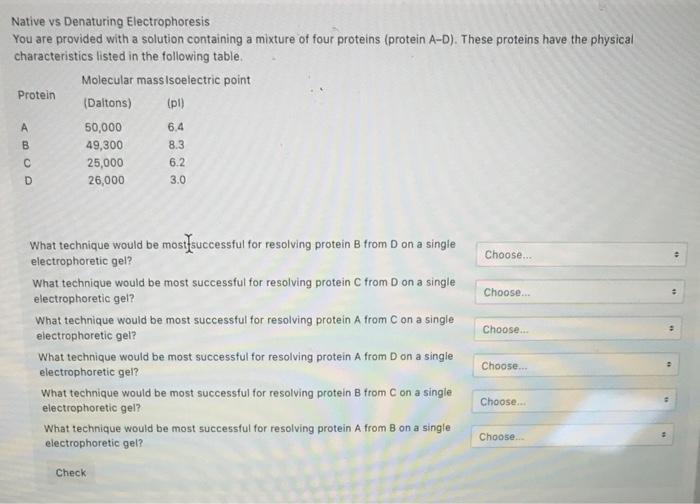 Solved Native vs Denaturing Electrophoresis You are provided | Chegg.com