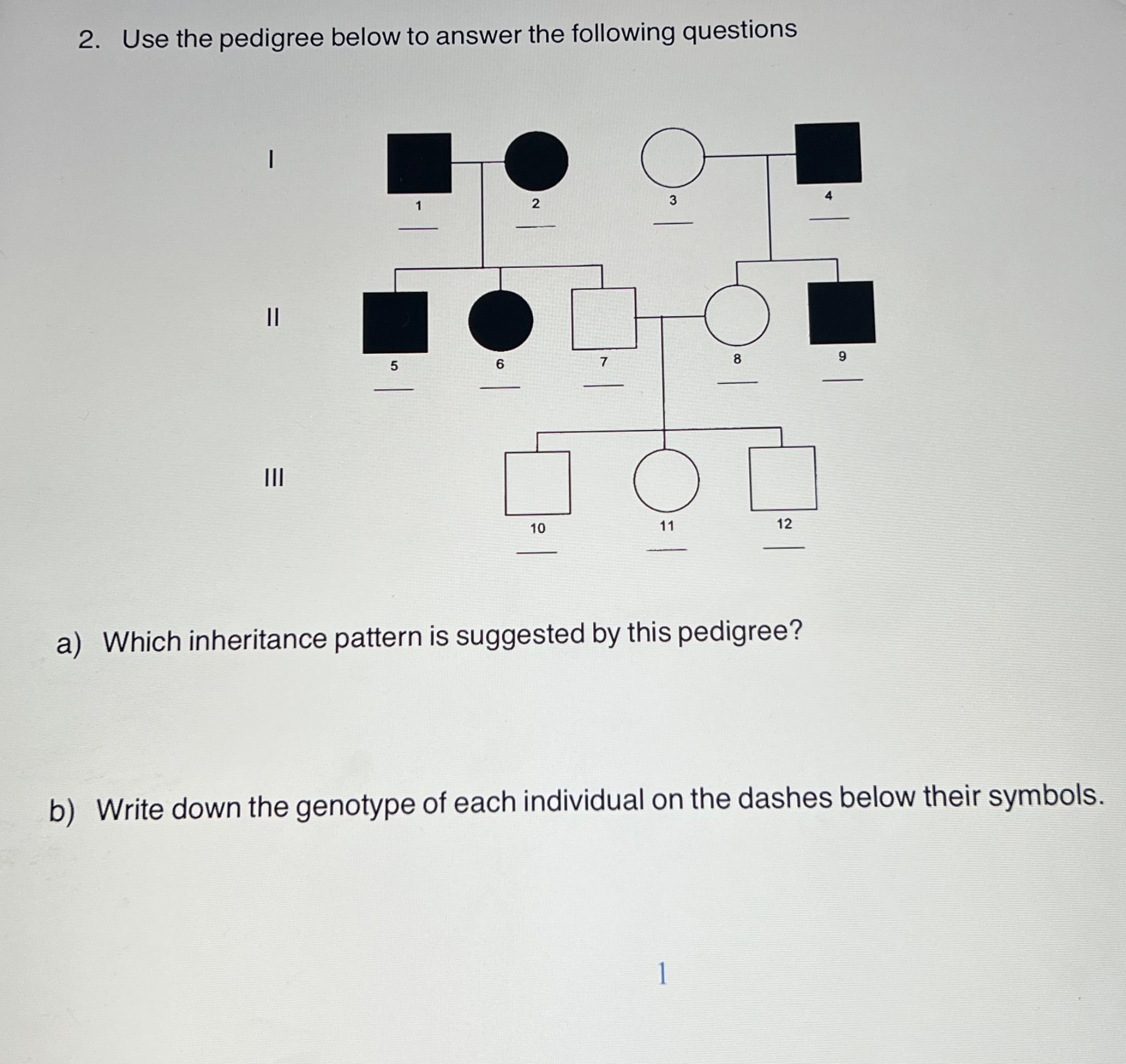 Solved Use the pedigree below to answer the following | Chegg.com