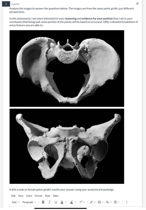 analyse the images to answer the questions below the | Chegg.com