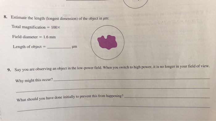 Solved 8. Estimate the length (longest dimension) of the | Chegg.com