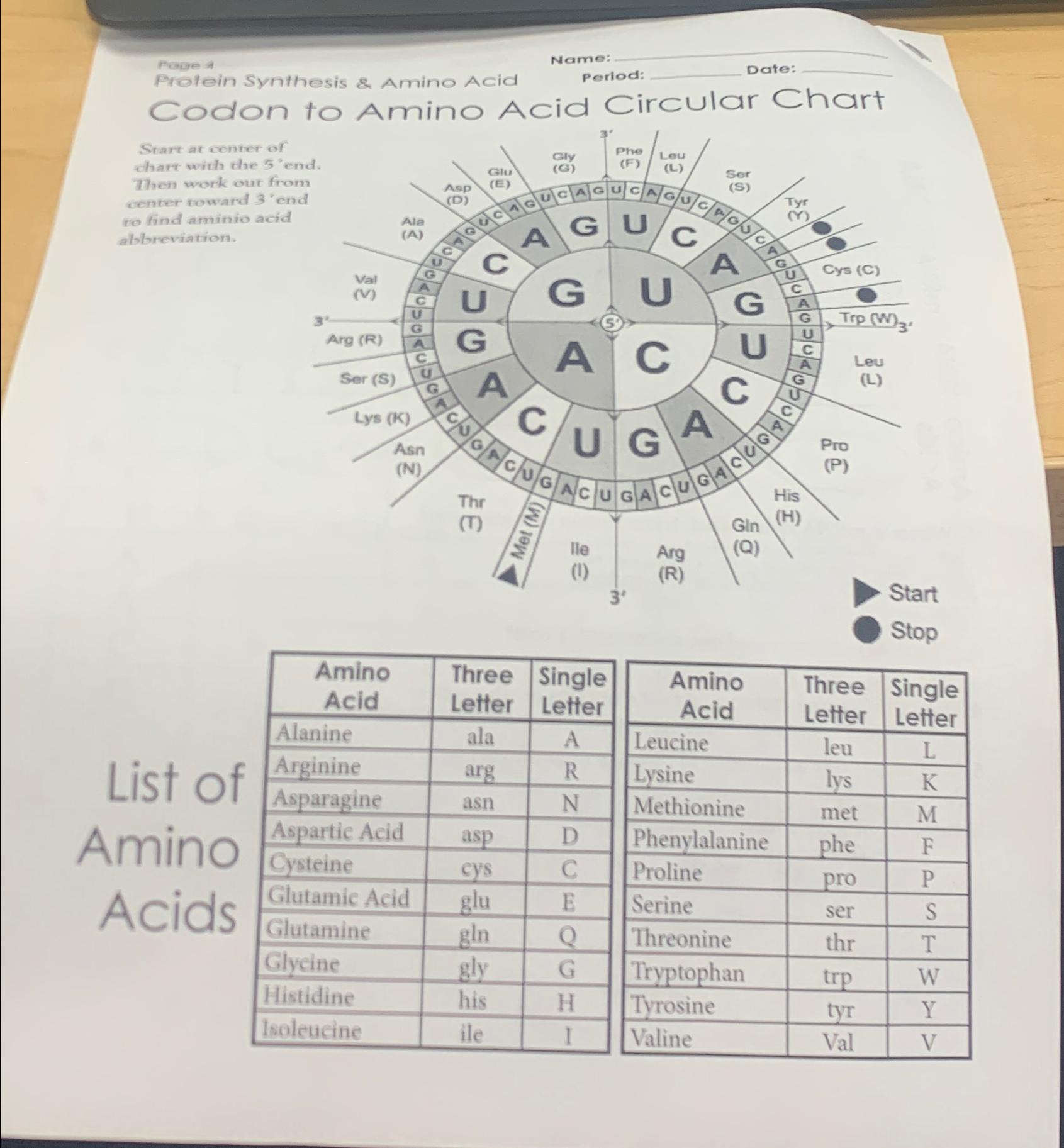 Prare aName:period:Date:Codon to Amino Acid Circular | Chegg.com