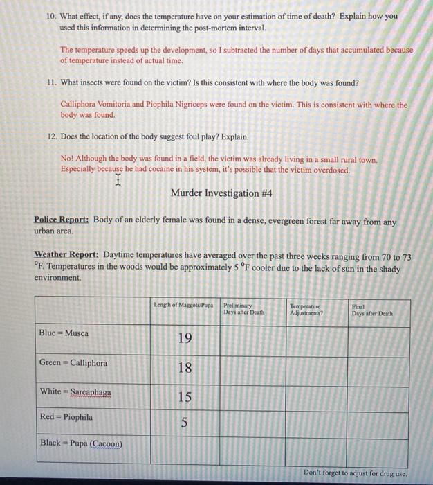 Of Maggots & Murder Entomolgy Lab Murder | Chegg.com