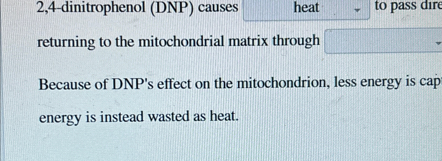 Solved 2,4-dinitrophenol (DNP) ﻿causes heat to pass dire | Chegg.com