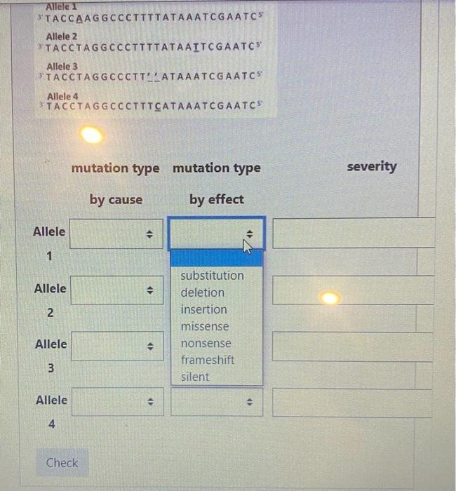 Solved Below are the wild-type sequence of a gene, as well | Chegg.com