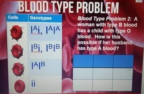 Solved BLOOD TYPE PROBLEM Cells Genotypes JAI, JAJA Blood | Chegg.com