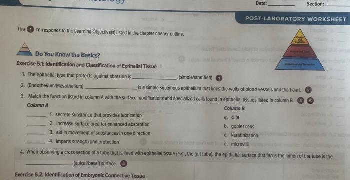 Solved 3. Match the function listed in column A with the | Chegg.com
