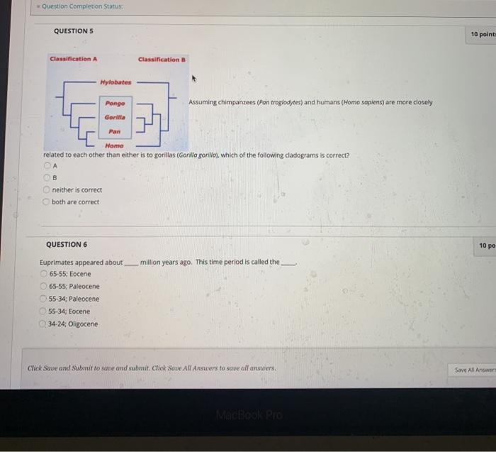 Solved Question Completion Status QUESTIONS 10 point | Chegg.com