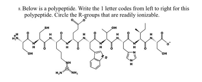 Solved 8. Below is a polypeptide. Write the 1 letter codes | Chegg.com