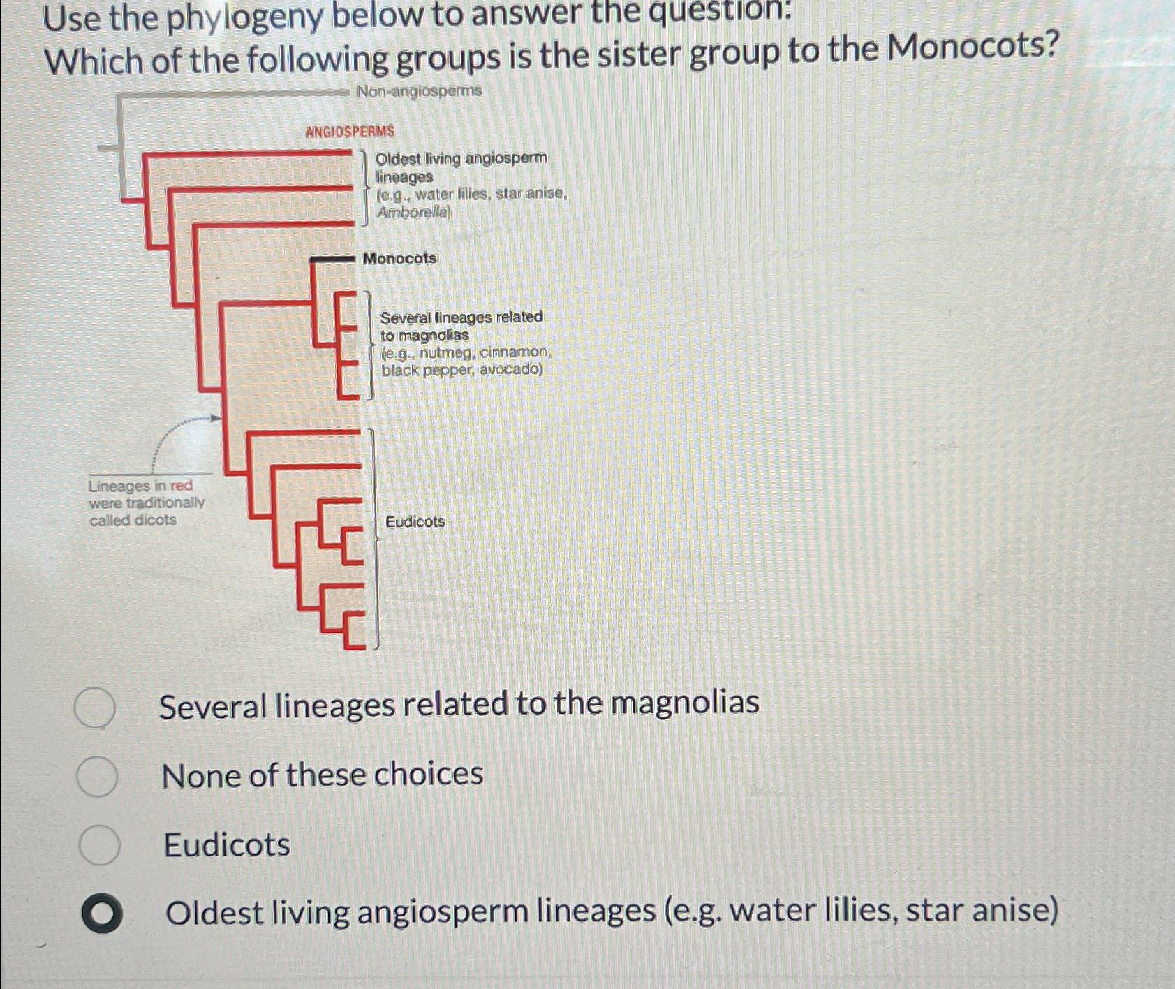 Solved Use the phylogeny below to answer the question:Which | Chegg.com