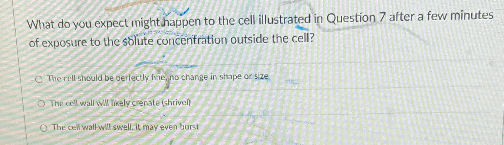 Solved What do you expect might happen to the cell | Chegg.com