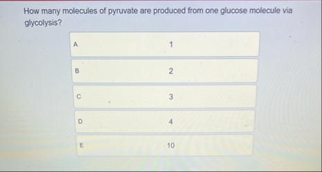 Solved How many molecules of pyruvate are produced from one | Chegg.com