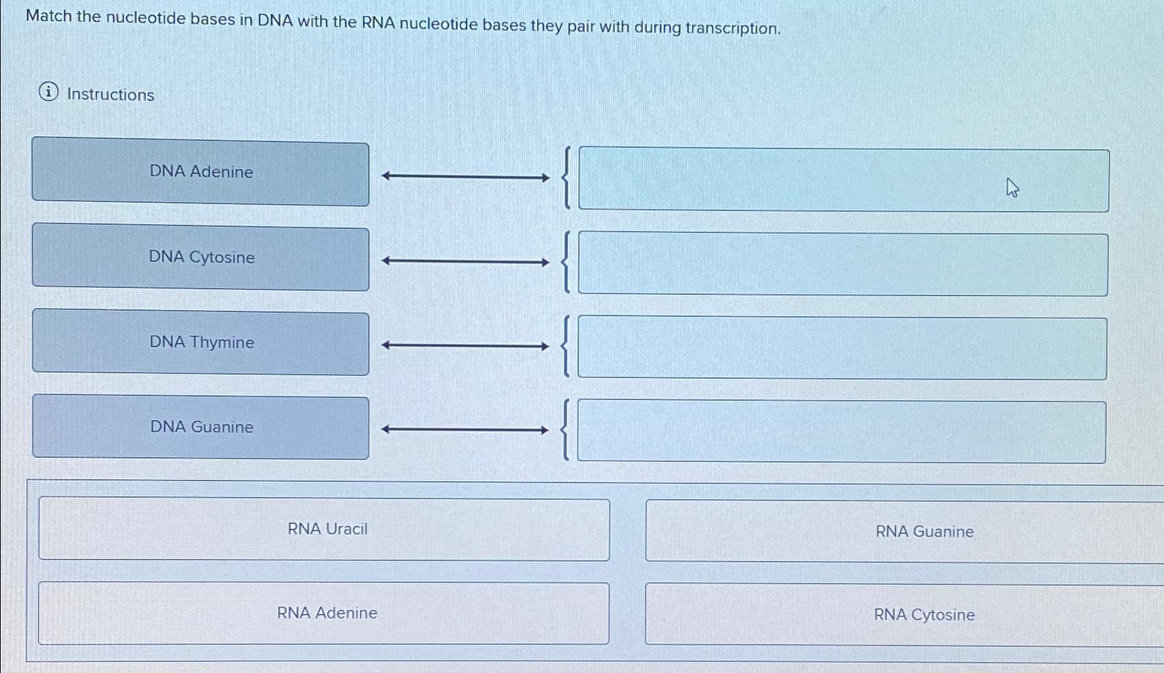Solved Match the nucleotide bases in DNA with the RNA | Chegg.com