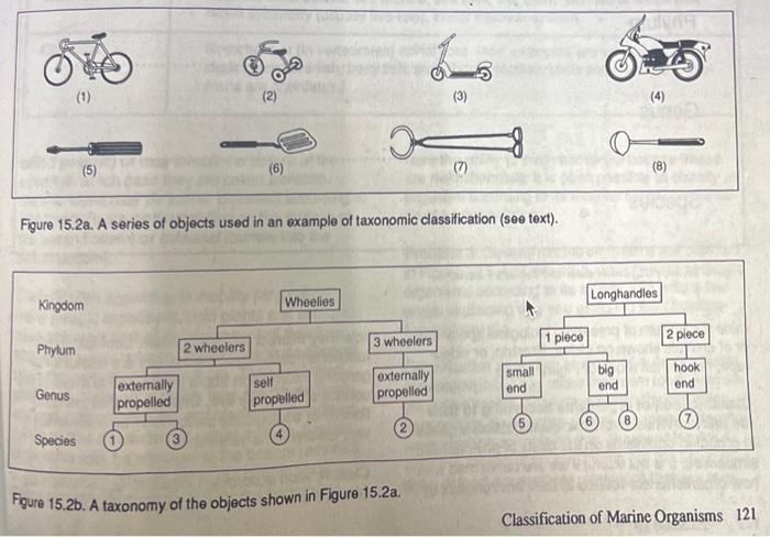 Problem 1: Twenty inanimate objects are shown in | Chegg.com