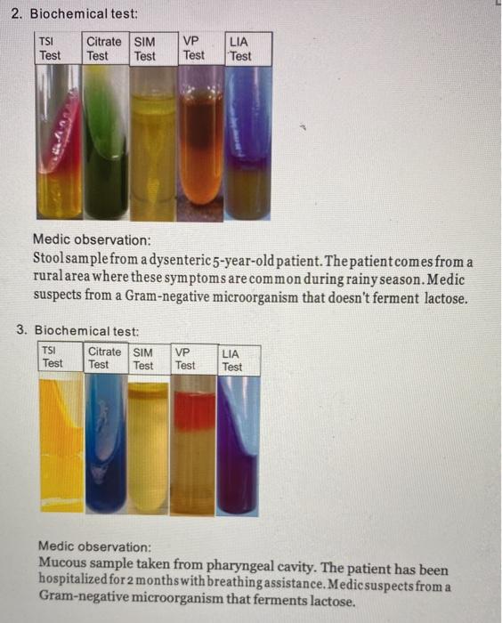 Solved Below you will find a set of biochemical tests | Chegg.com