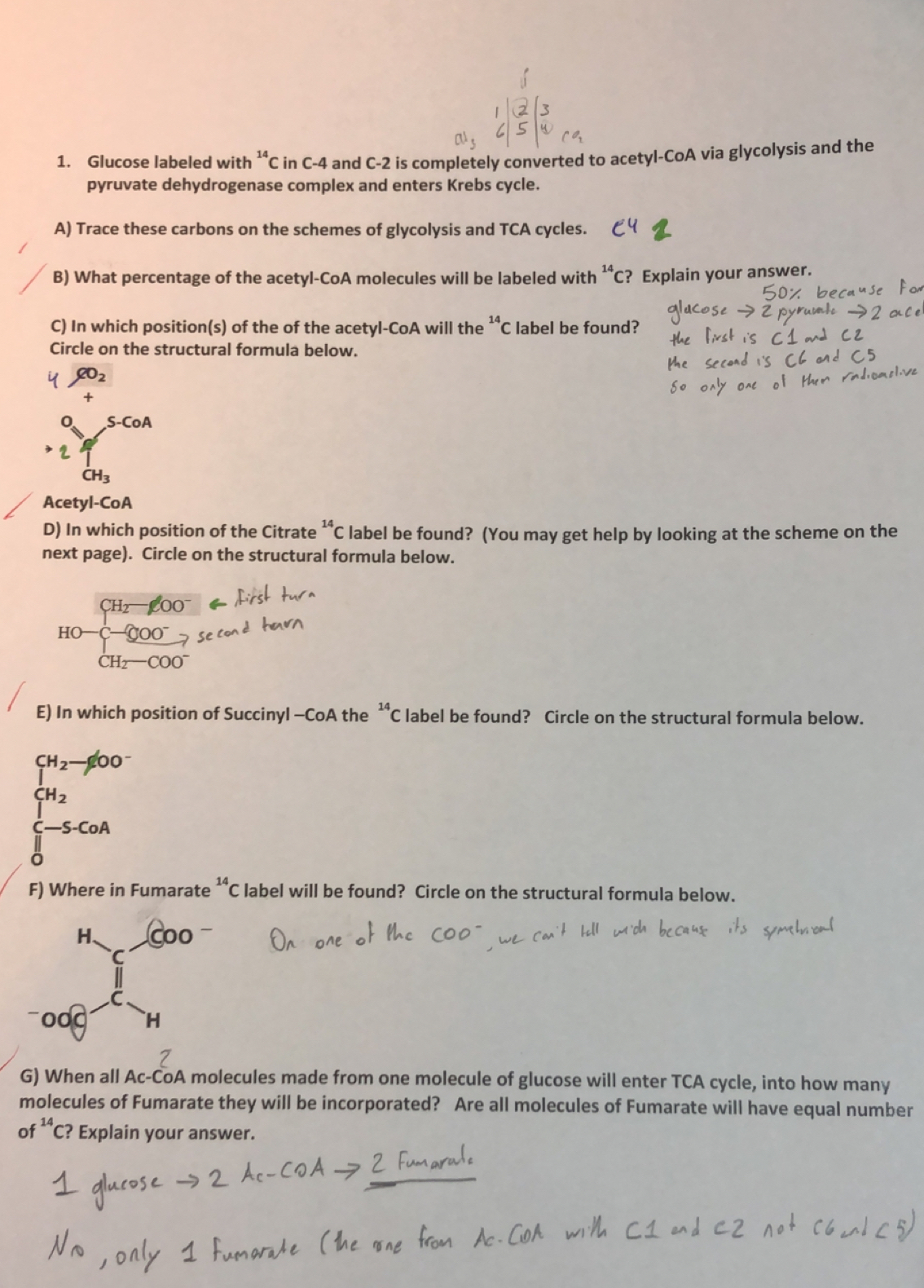 Solved Please solve the question and explain I have a | Chegg.com