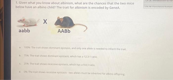 1. Given what you know about albinism, what are the | Chegg.com