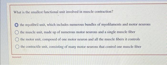 Solved What is the smallest functional unit involved in | Chegg.com