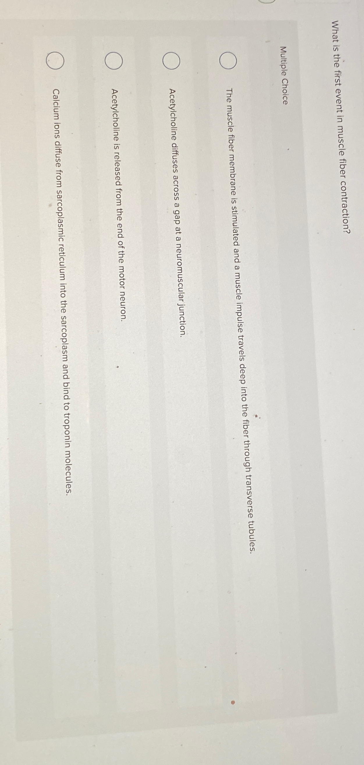 Solved What is the first event in muscle fiber | Chegg.com