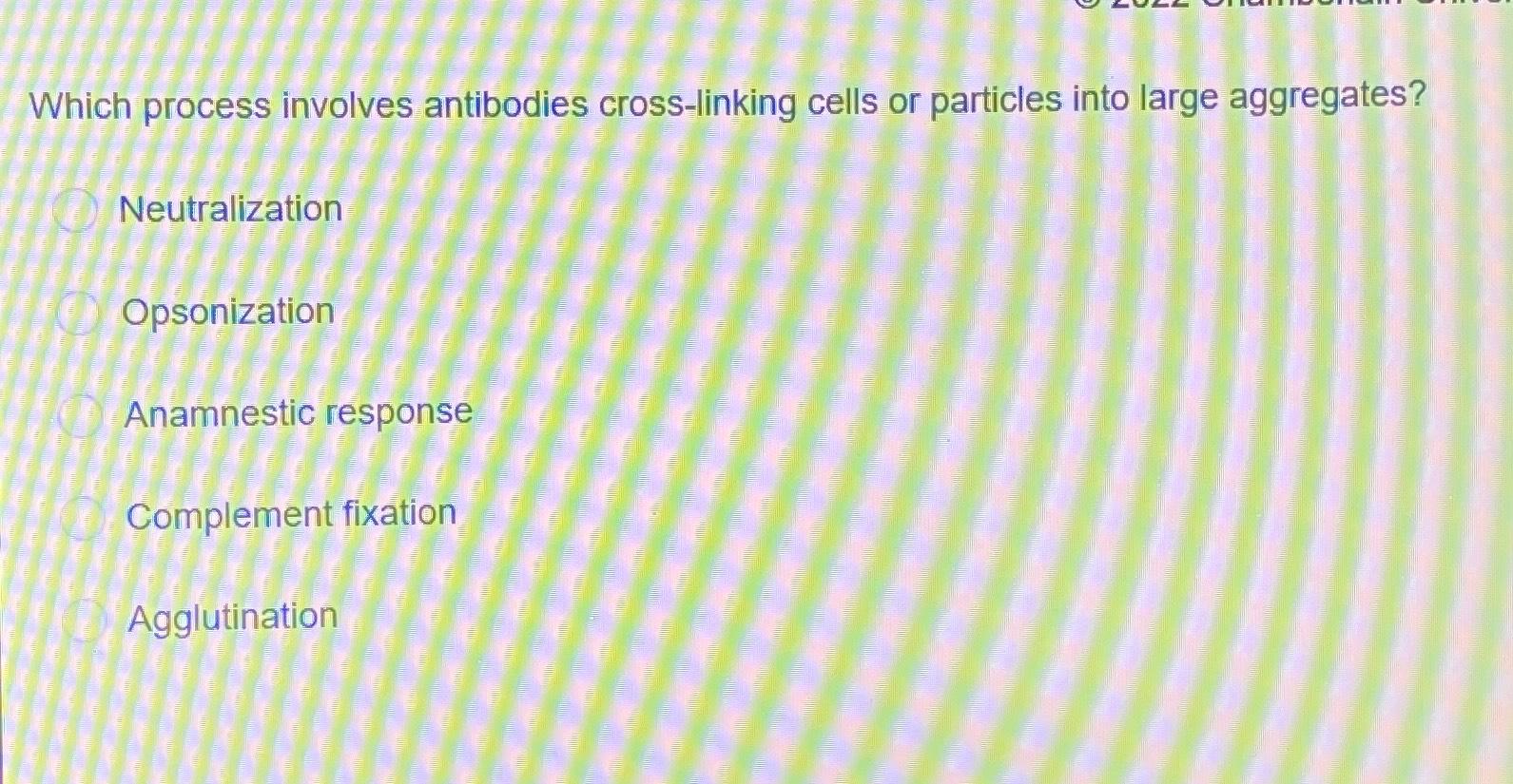 Solved Which process involves antibodies cross-linking cells | Chegg.com