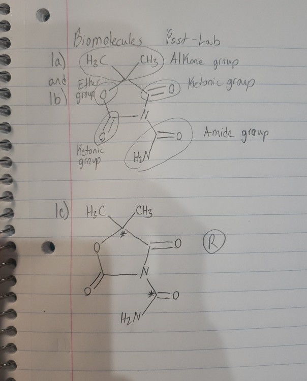 Solved Albumin Draw the chemical structure for Albumin | Chegg.com