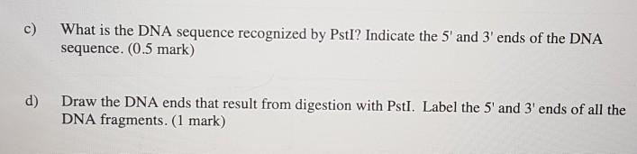 Solved c) What is the DNA sequence recognized by PstI? | Chegg.com