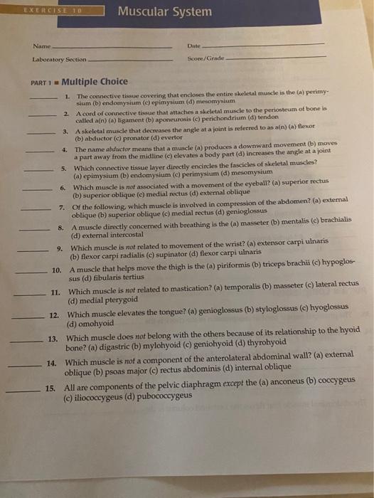 Solved PART 1= Multiple Choice 1. The connective tissue | Chegg.com