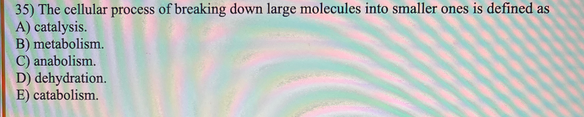 Solved The cellular process of breaking down large molecules | Chegg.com