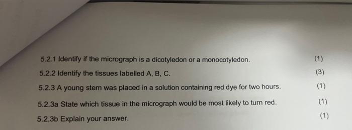 Solved 5.2 The micrograph below represents the cross-section | Chegg.com