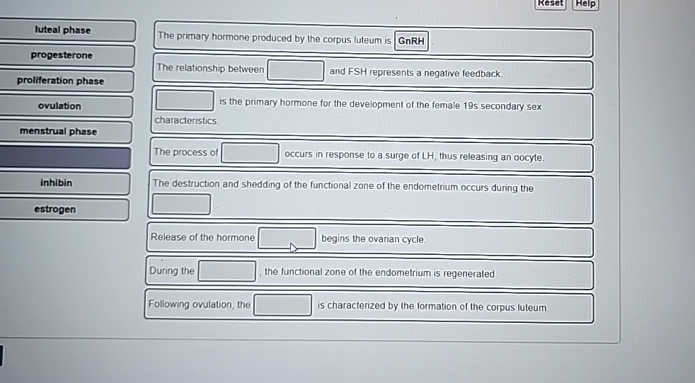 Solved \table[[luteal phase],[progesterone],[proliferation | Chegg.com
